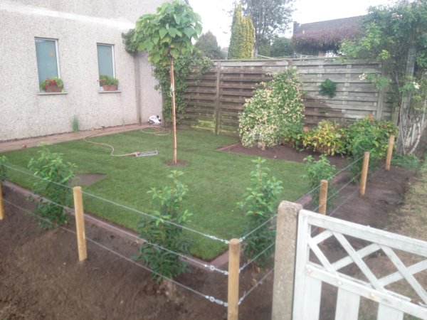 tuinwerken Mike Simoen | Ervaringen en reviews - Trustlocal